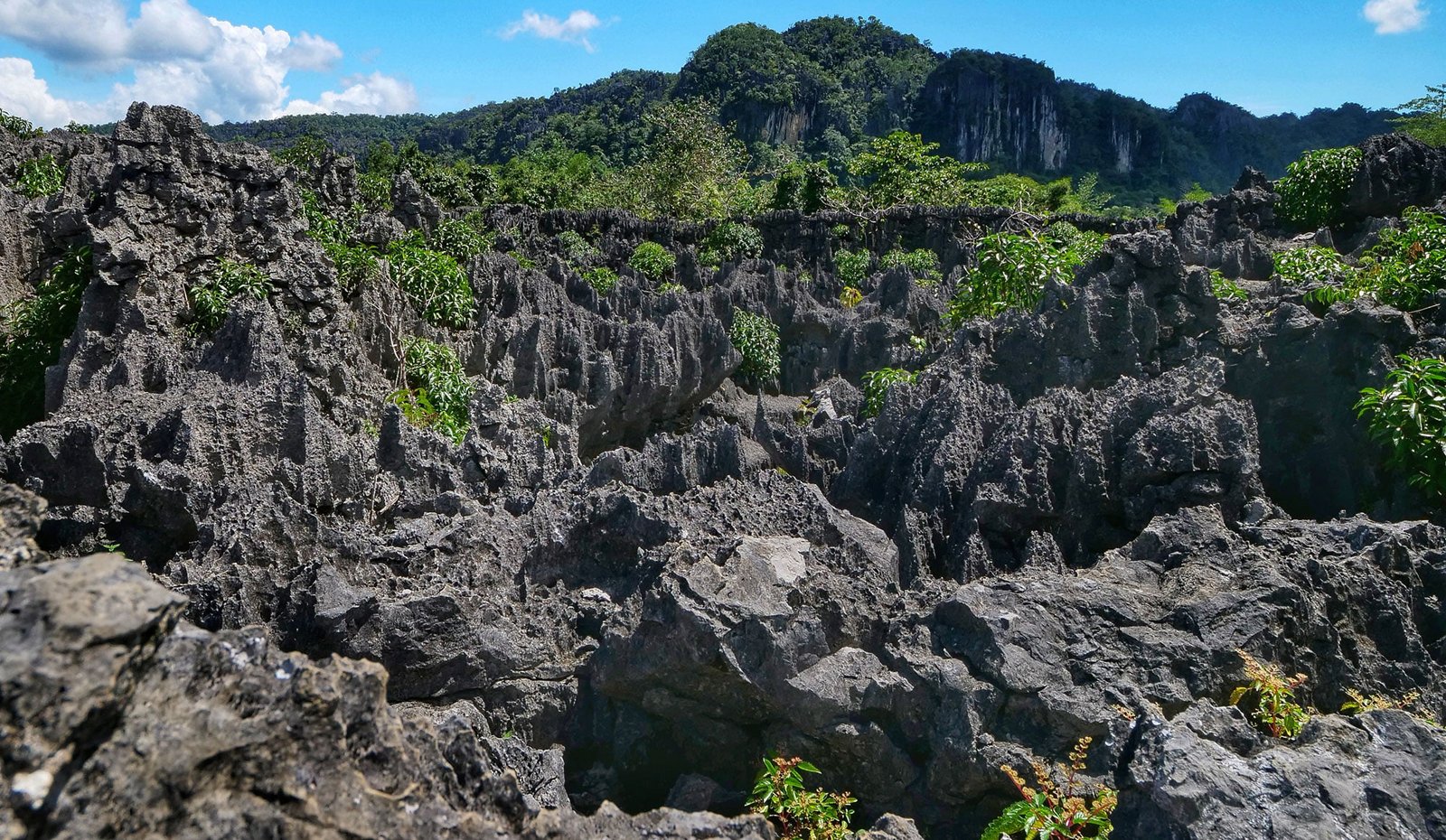 Taman Batu Karst Balloci » OurIslands.id
